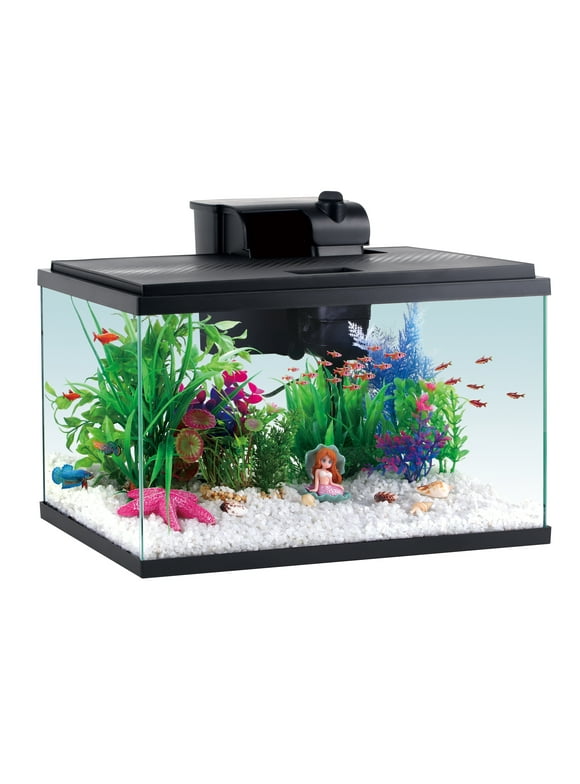5 Gallon Fish Tank in Fish Tanks - Walmart.com