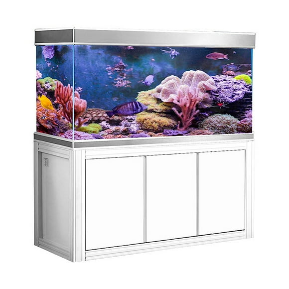 120 Gallon Fish Tanks