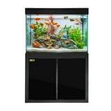 Aqua Dream 50 Gallon All-in-one Ultra-White Glass Aquarium Kit, Black ...