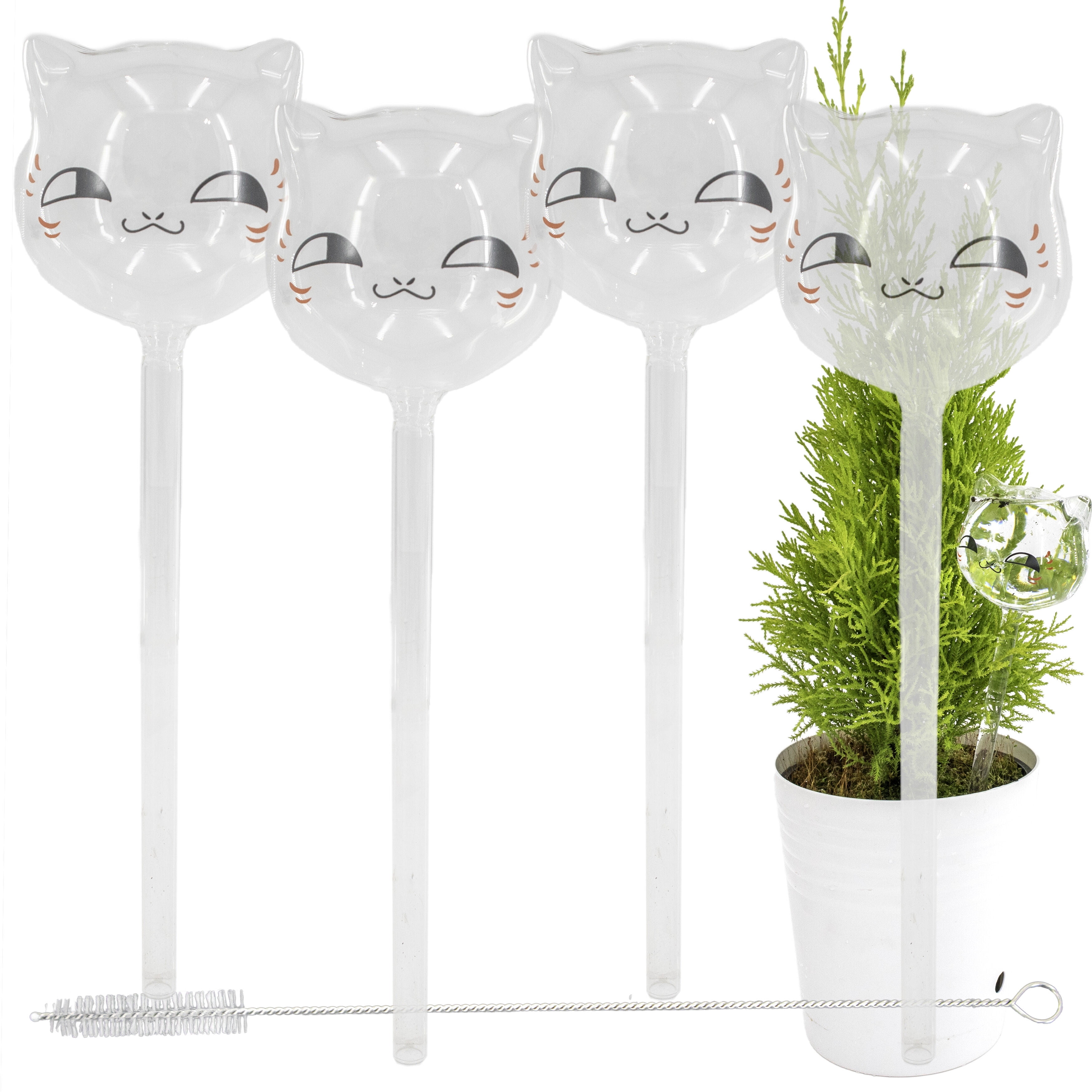 Aqua Glass Plant Watering Cat Globes - Automatic Self Watering Drip ...