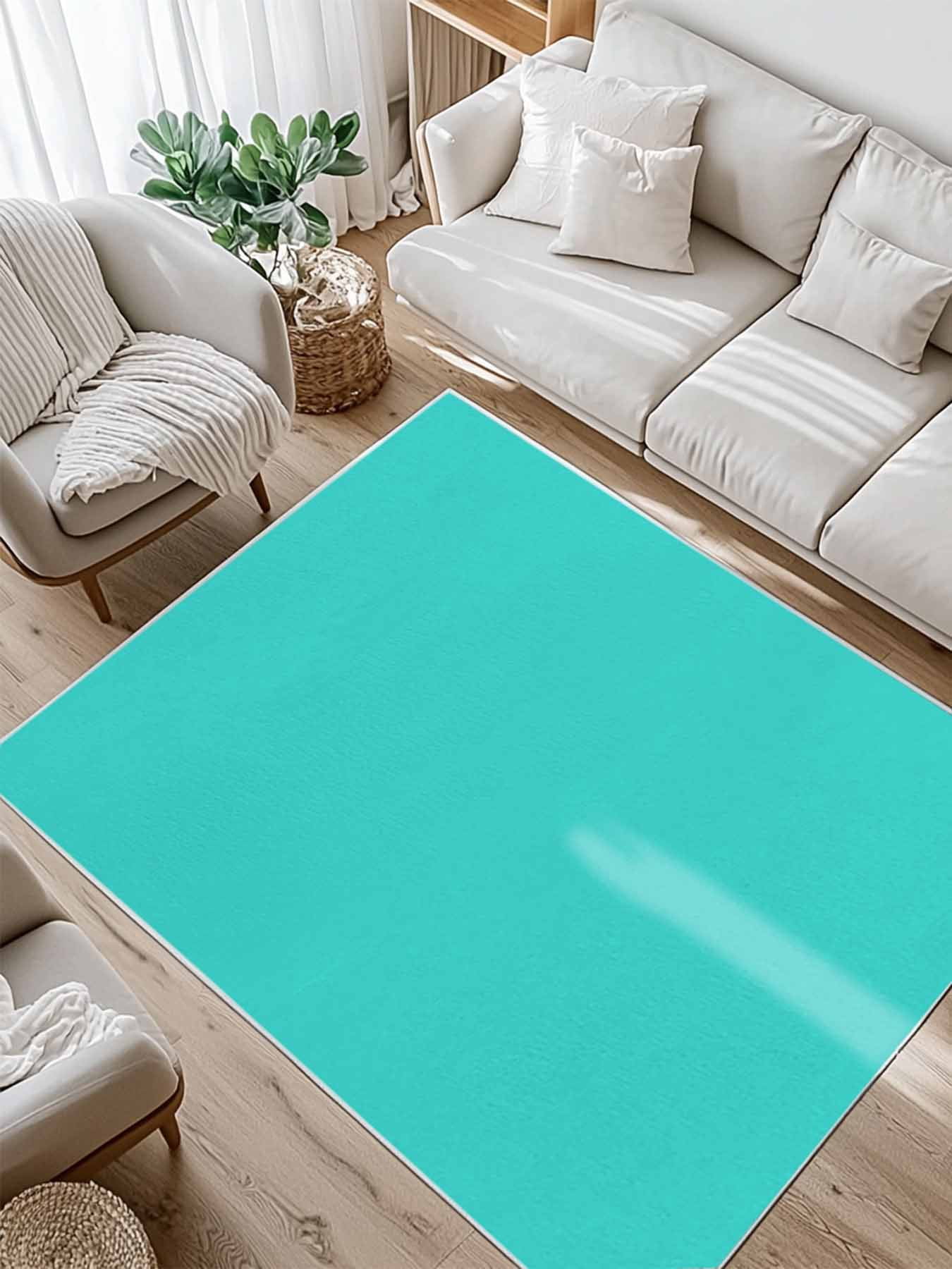Aqua Green Area Rug for Bedroom 2.7x5 Ft Green Solid Color Super Soft ...