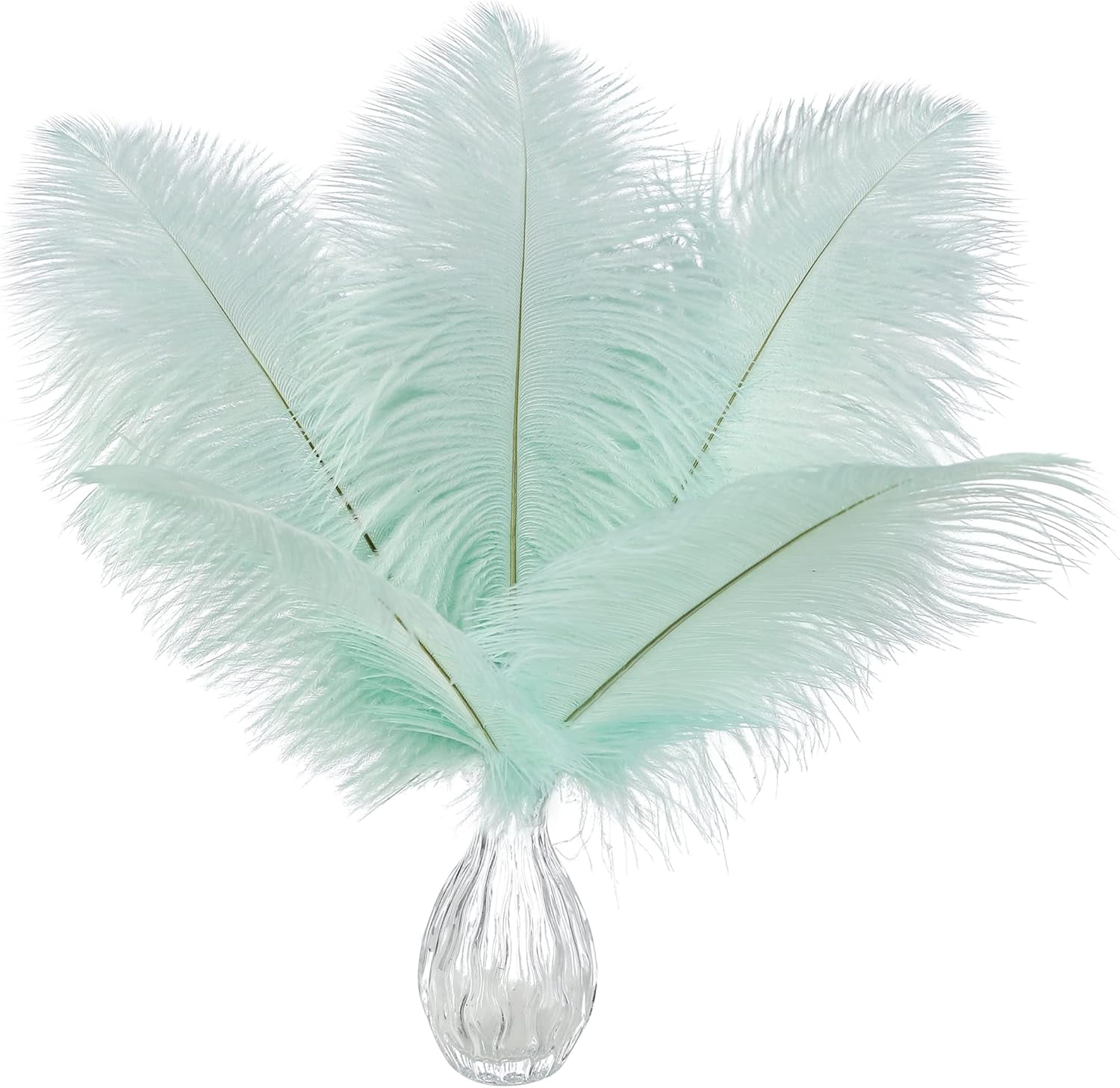 Aqua Green Ostrich Feathers - 24pcs 10-12inch Craft Feathers Bulk for ...