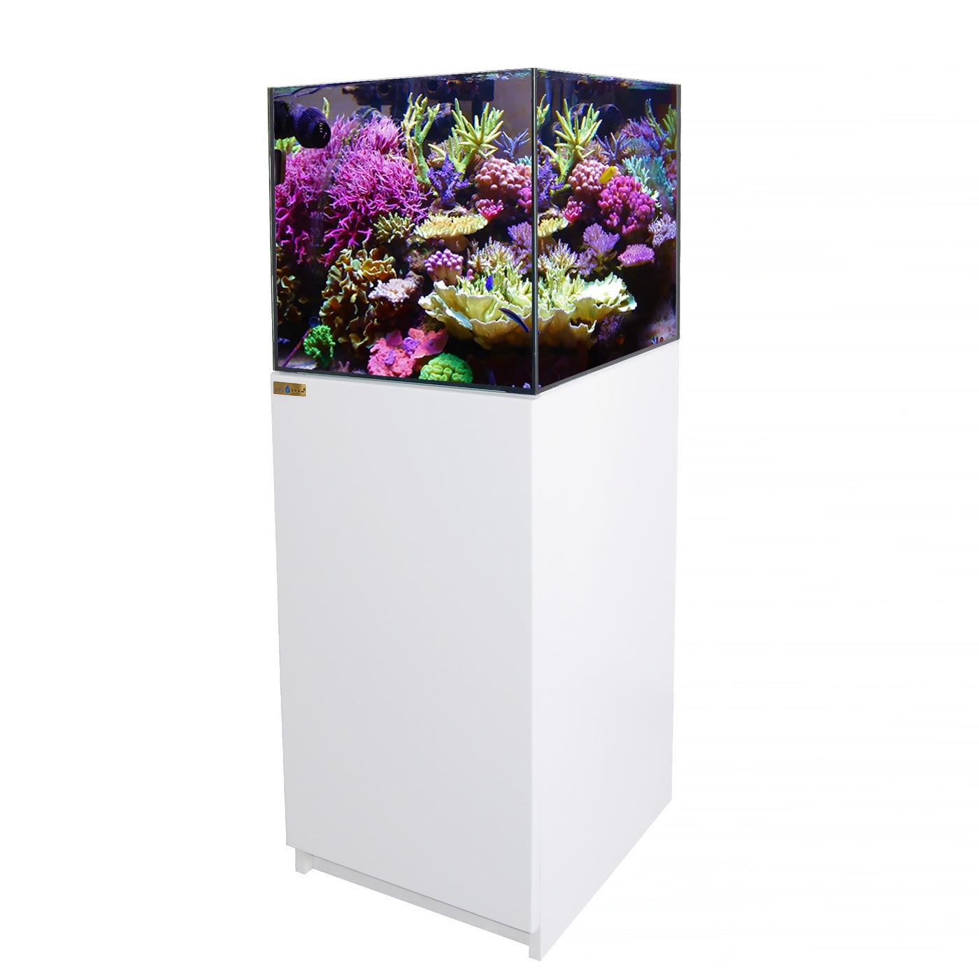 AquaDream 37 Gallon Coral Reef Fish Tank Setup with Ultra Clear Glass ...