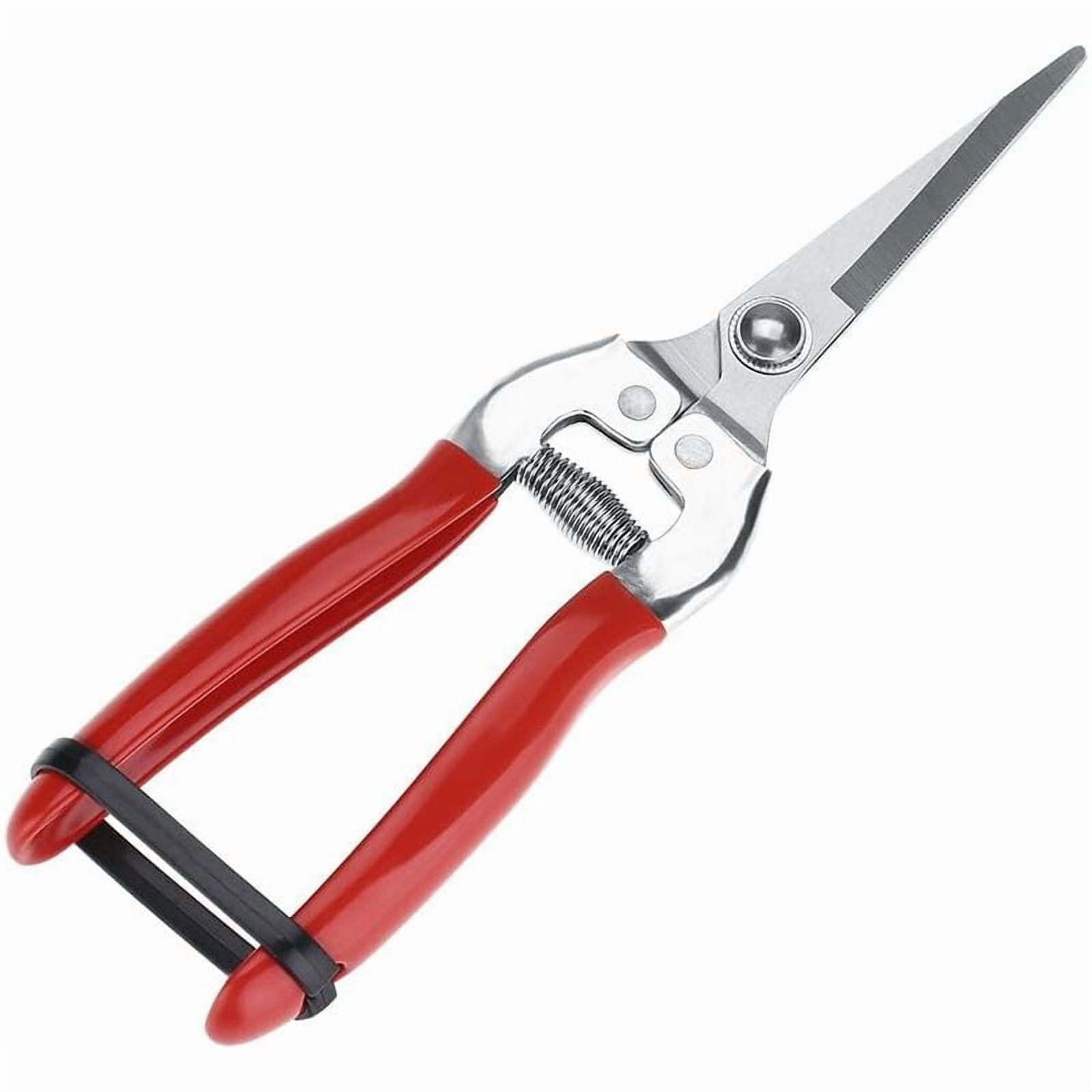 AquaForge Bonsai Plant Scissors 100% Stainless Steel Garden Scissors ...