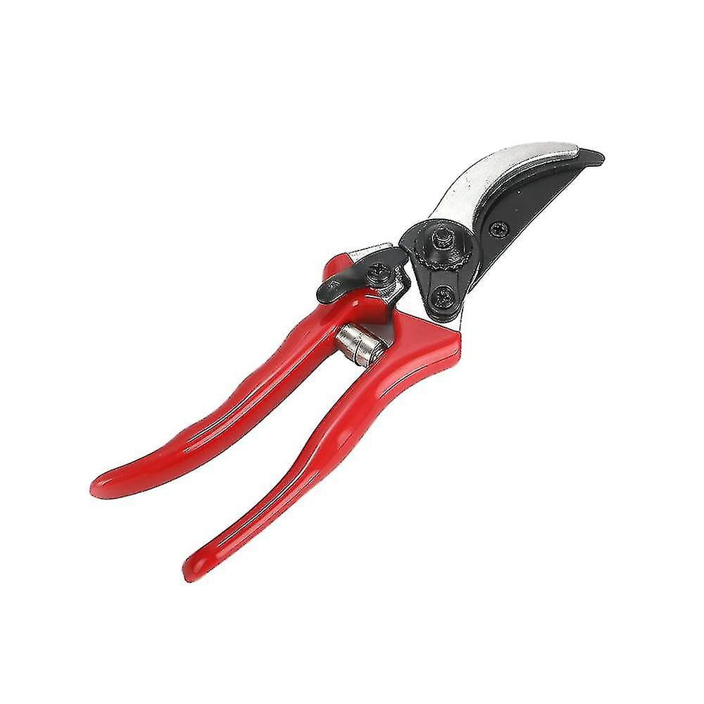 AquaForge Dhrs Garden Scissors Pruning Scissors Picking Scissors for Flowers Fruits and ...
