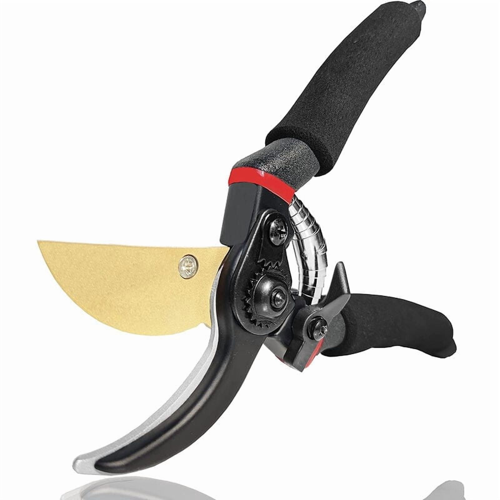 AquaForge Garden Shears Straight Blade Flower Shears in Steel and ...