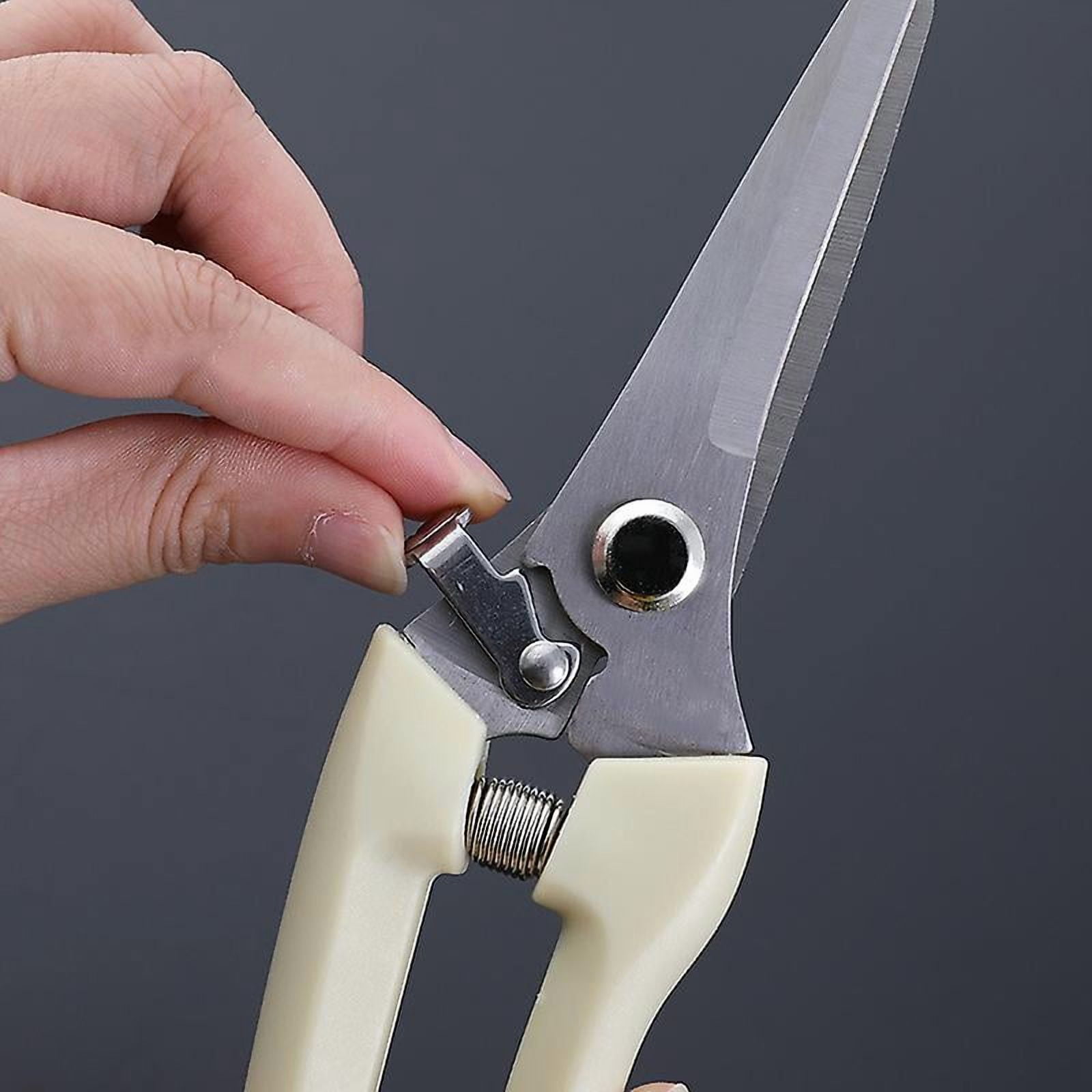 AquaForge Garden shears for pruning plants, anvils, branches and fruit ...