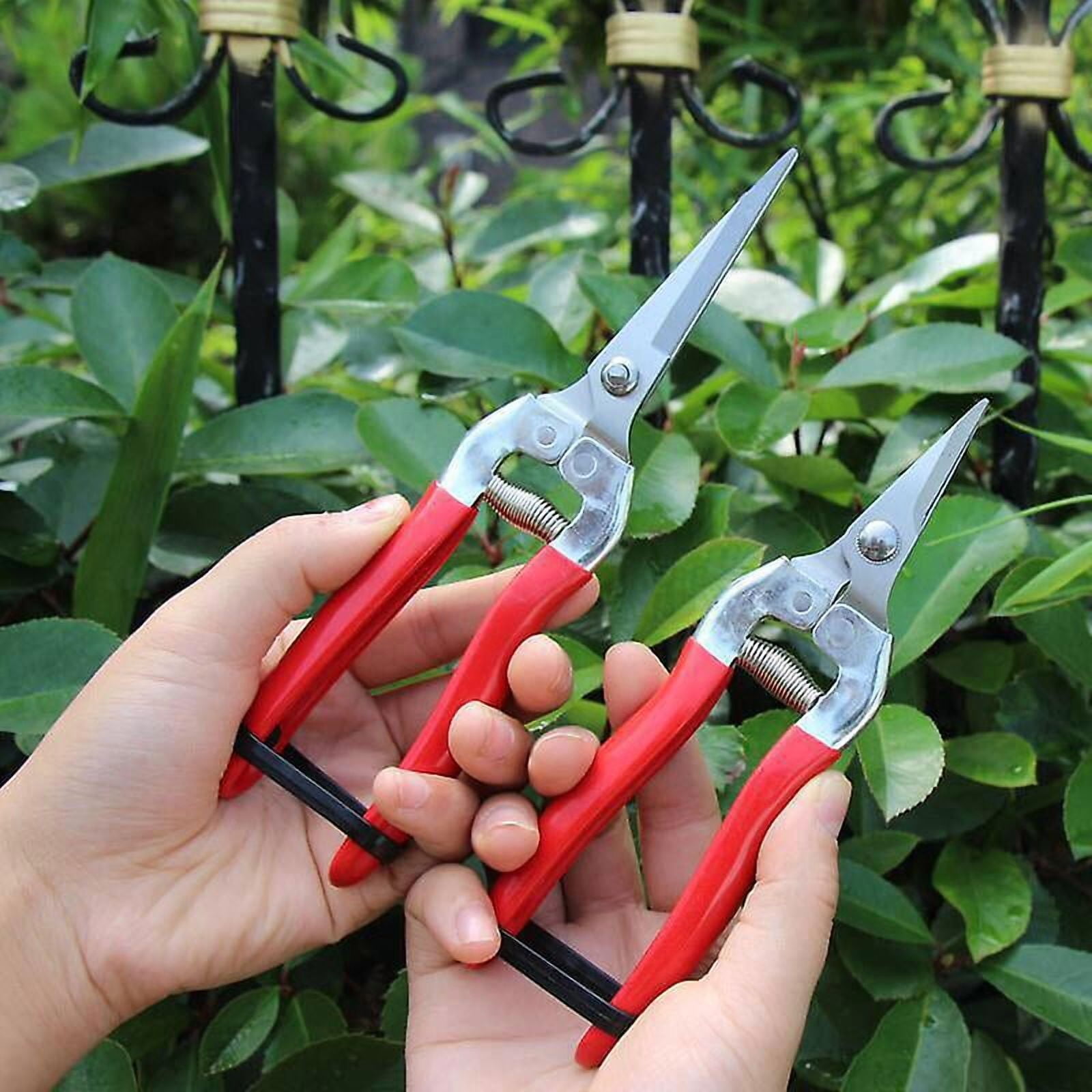 AquaForge Garden shears in stainless steel for pruning trees, grass and ...