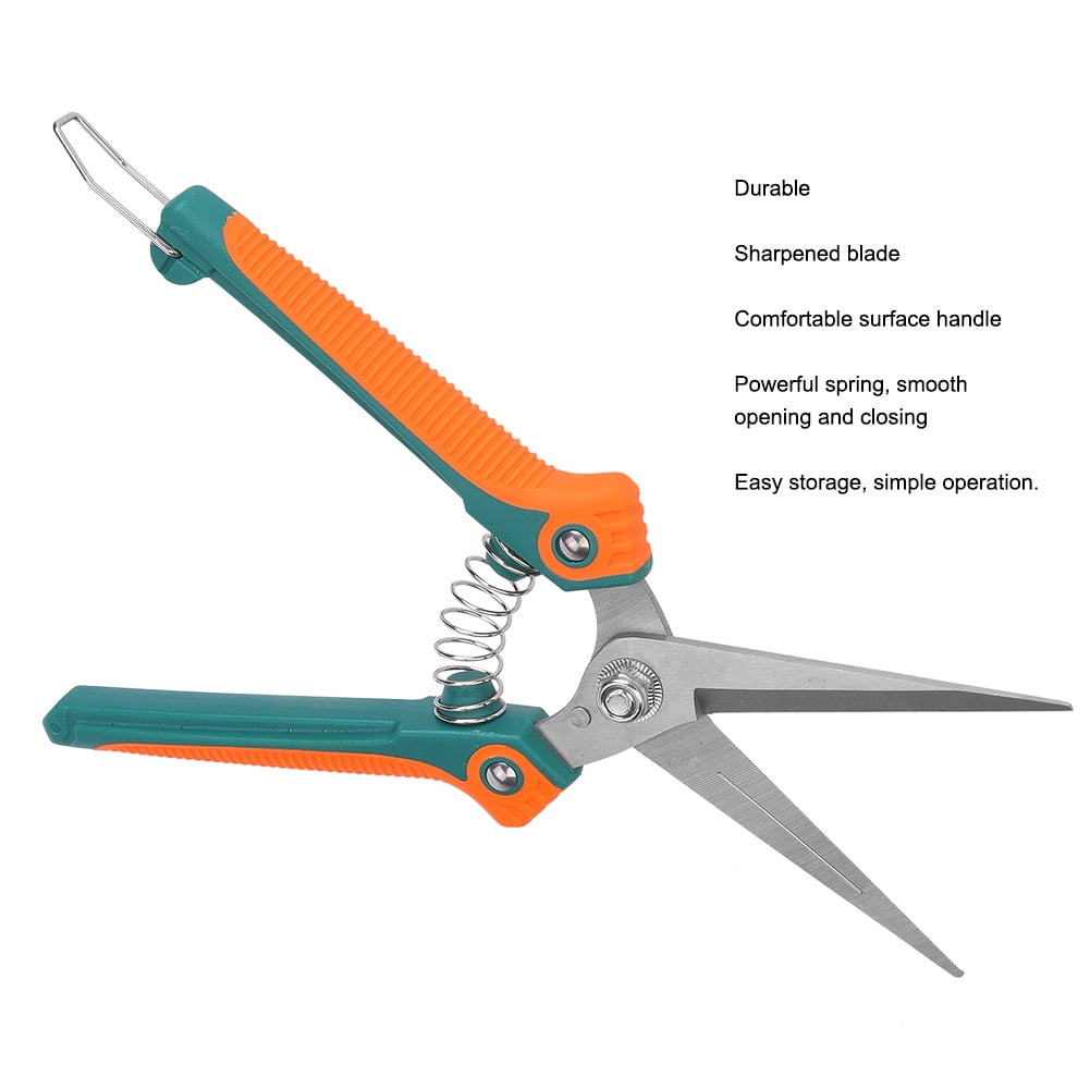AquaForge High Quality Pruning Scissors with Stainless Steel Blade ...