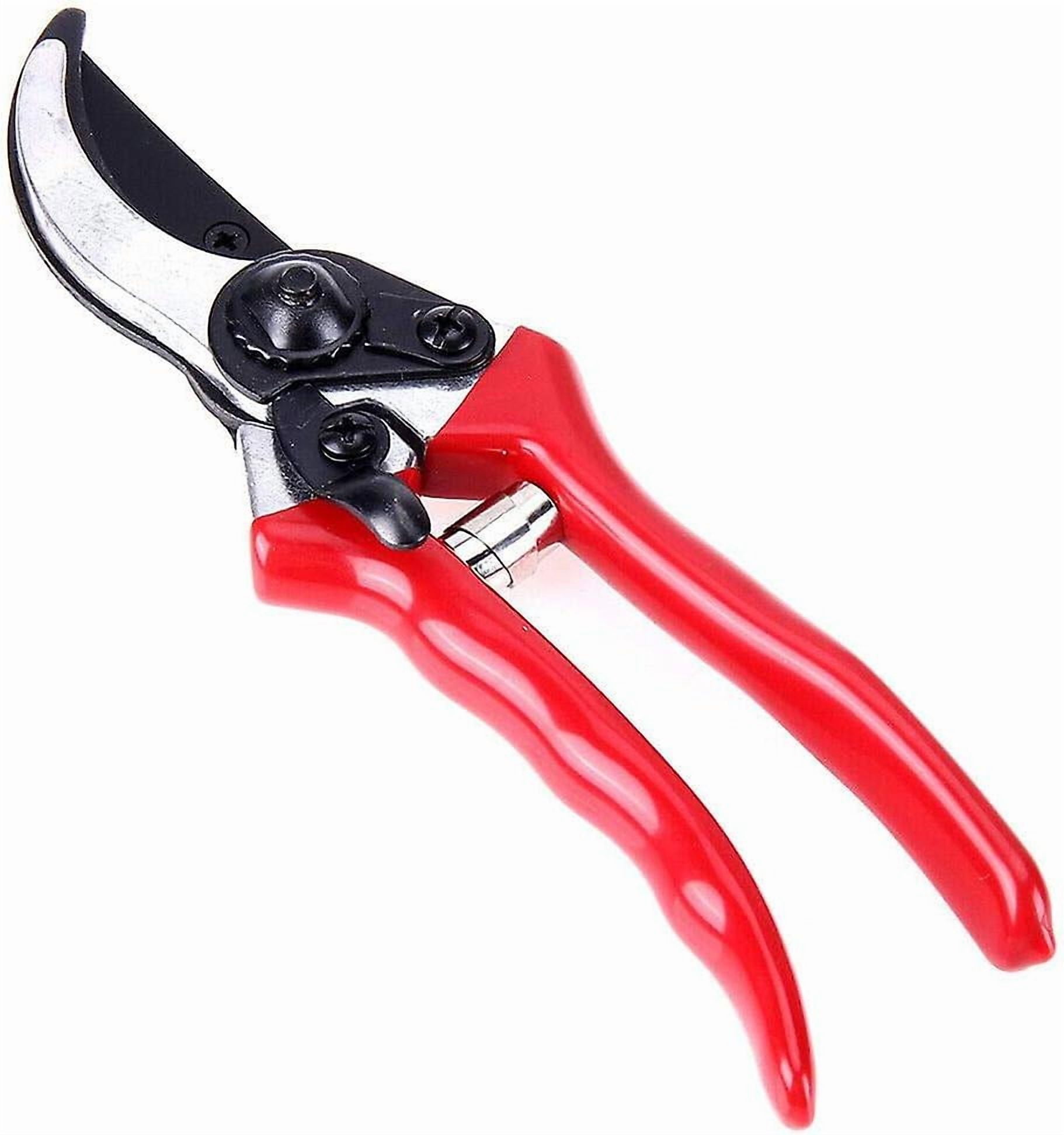 AquaForge Precision Scissors, Garden Scissors, Harvesting Scissors for ...