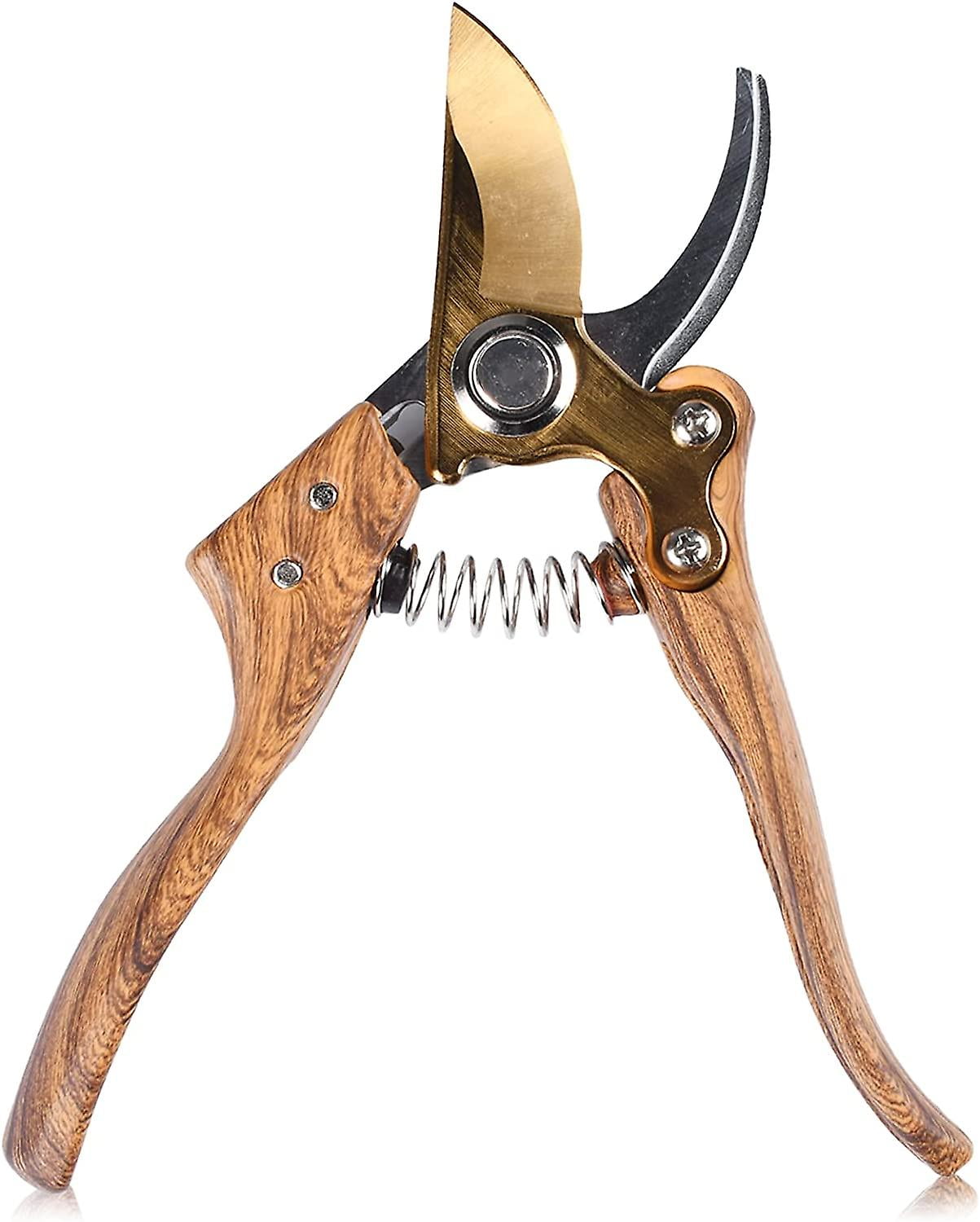 AquaForge Premium Garden Shears, 215mm SK5 Steel Shears, Wood Handle ...