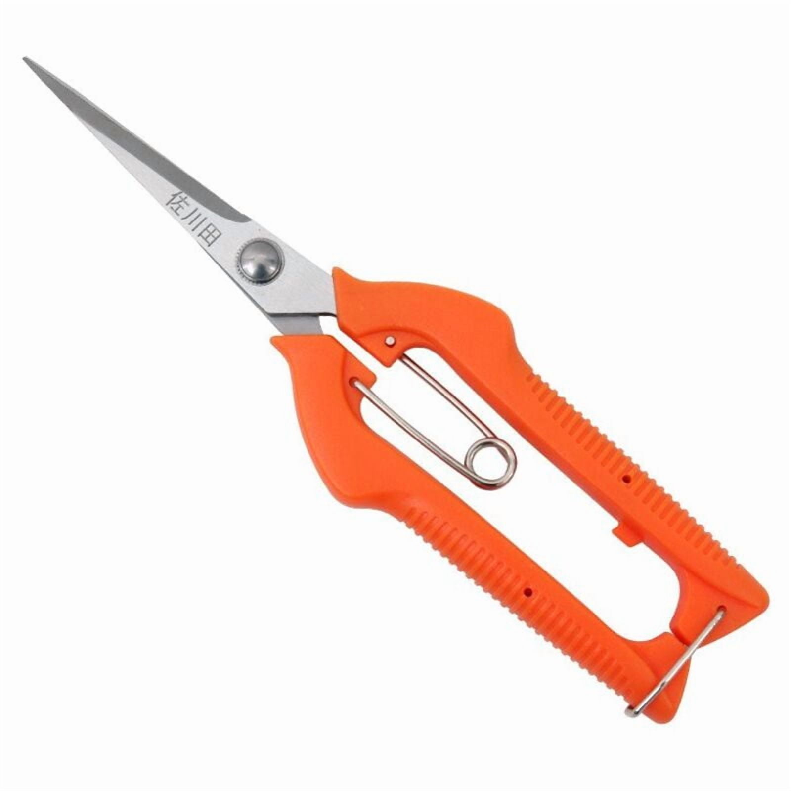 AquaForge Stainless Grape Scissors, Sharp Fruit Scissors, Garden ...