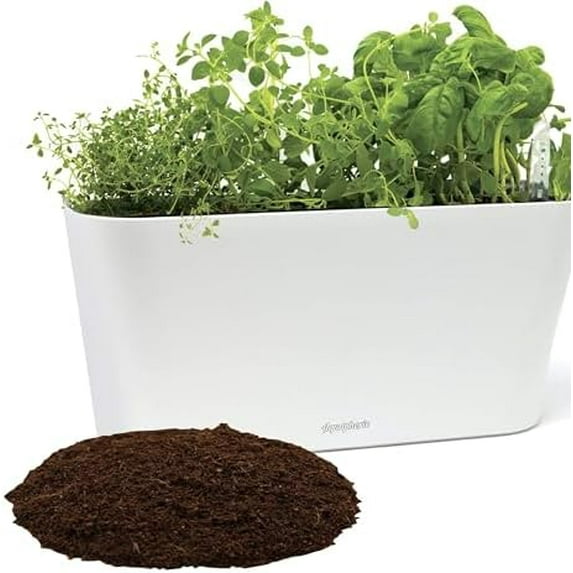 Aquaphoric Herb Garden Tub - Self Watering Planter Box with 6 Quarts ...
