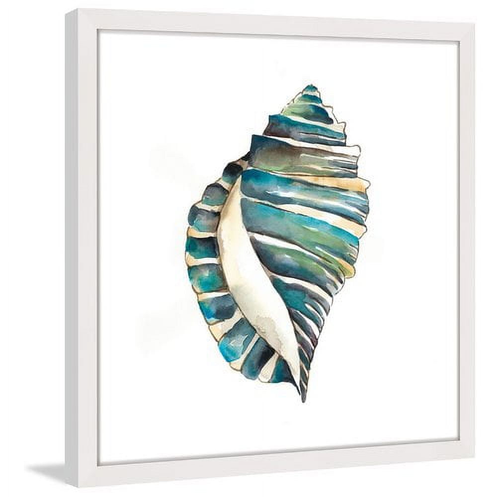 "Aquarelle Shells I" Framed Painting Print - Walmart.com