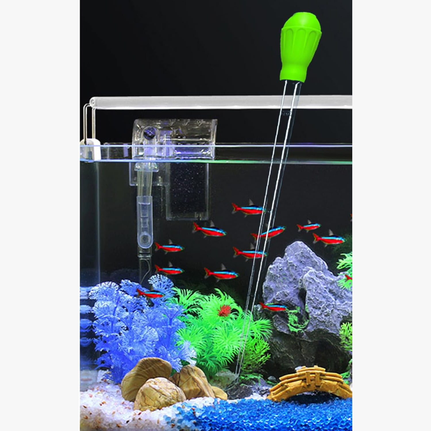 Aquarium Algae Scraper/Remover for Glass Fish Tanks, Stainless Steel ...