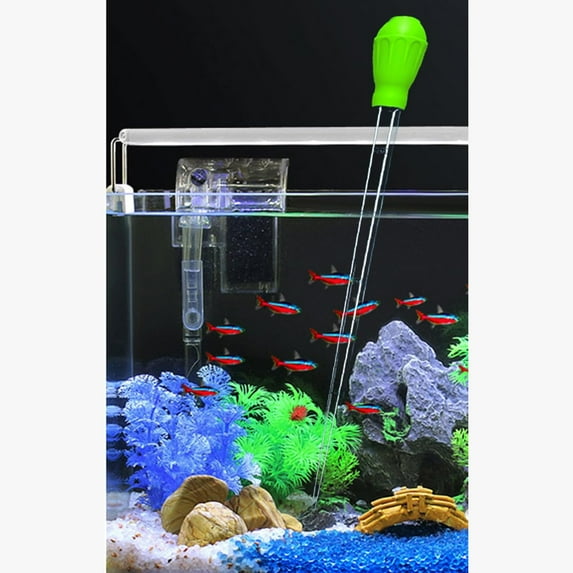 Aquarium Algae Scraper/Remover for Glass Fish Tanks, Stainless Steel ...