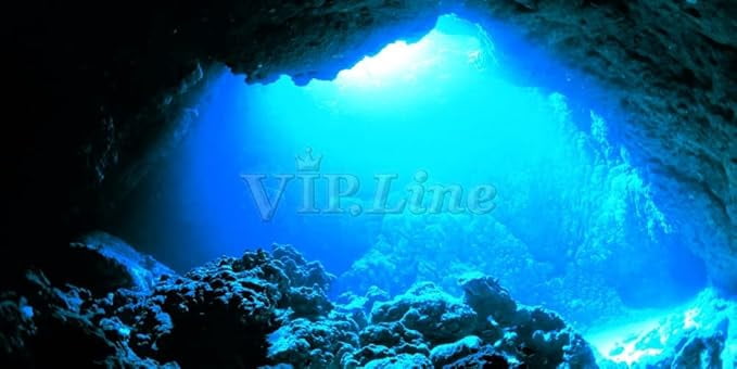 Aquarium Background Poster Under Water Cave Sunlight Fish Tank Backdrop ...
