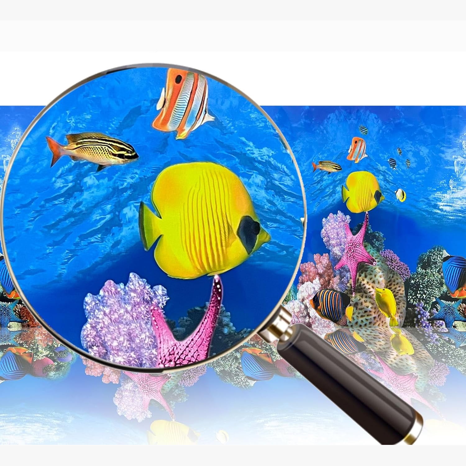 Aquarium Background Poster Water Plants 3D Coral Fish Tank Background ...