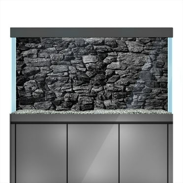 Natural Undersea Aquarium Background, Underwater Ocean Sunlight Fish ...