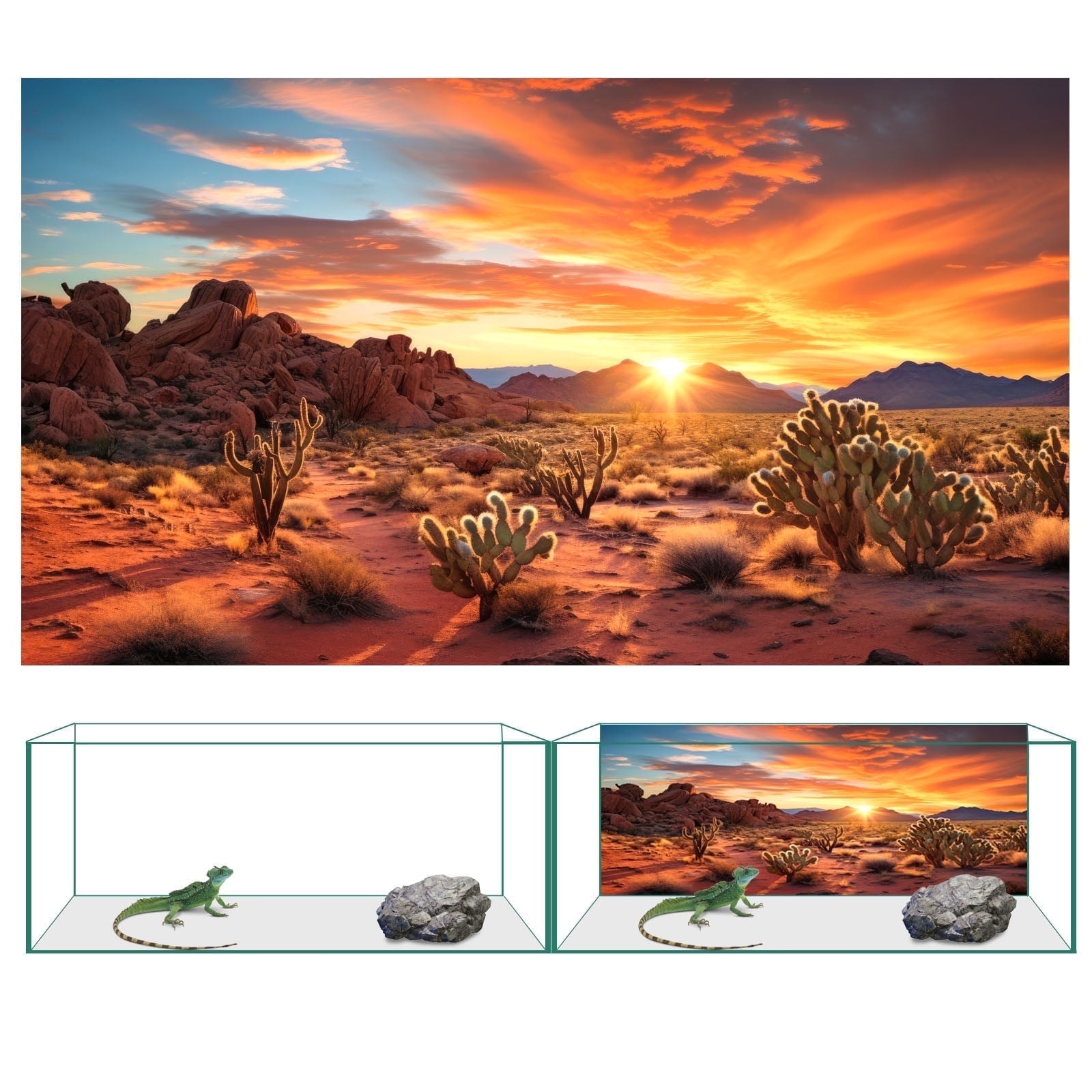 CICK SEED Aquarium Background, Static Cling, Tape-Free, Desert Sunset ...