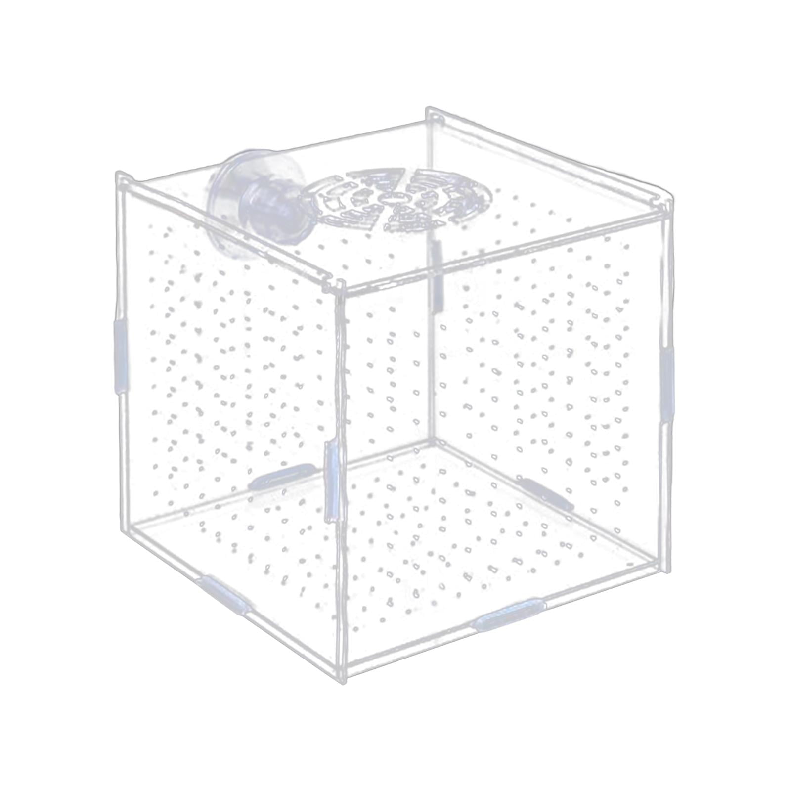 Aquarium Box Clear Aquarium Supply for Aggressive fish babies prawn ...