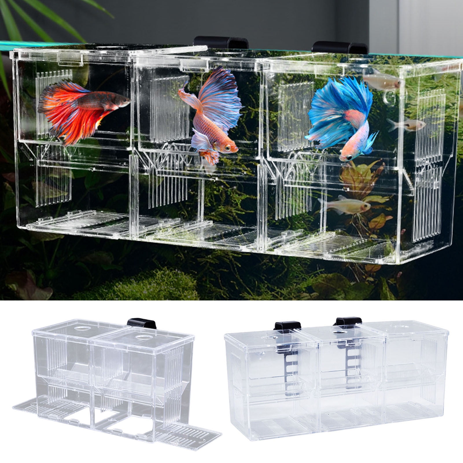 Aquarium Breeder Box Isolation Fish Breeding Hatching Divider ...