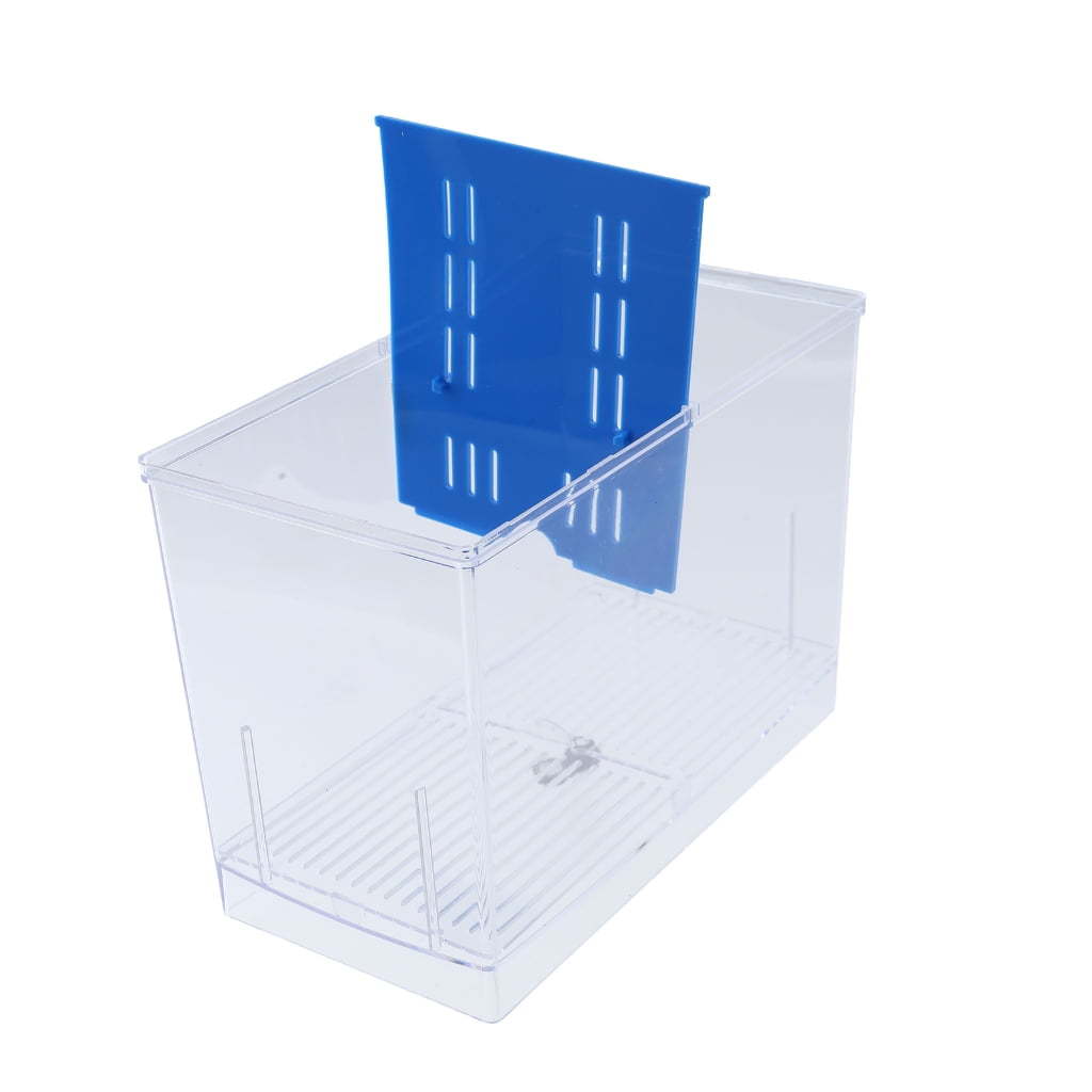 Aquarium Breeder Box for FishTank Breeding Incubator Small Fish ...