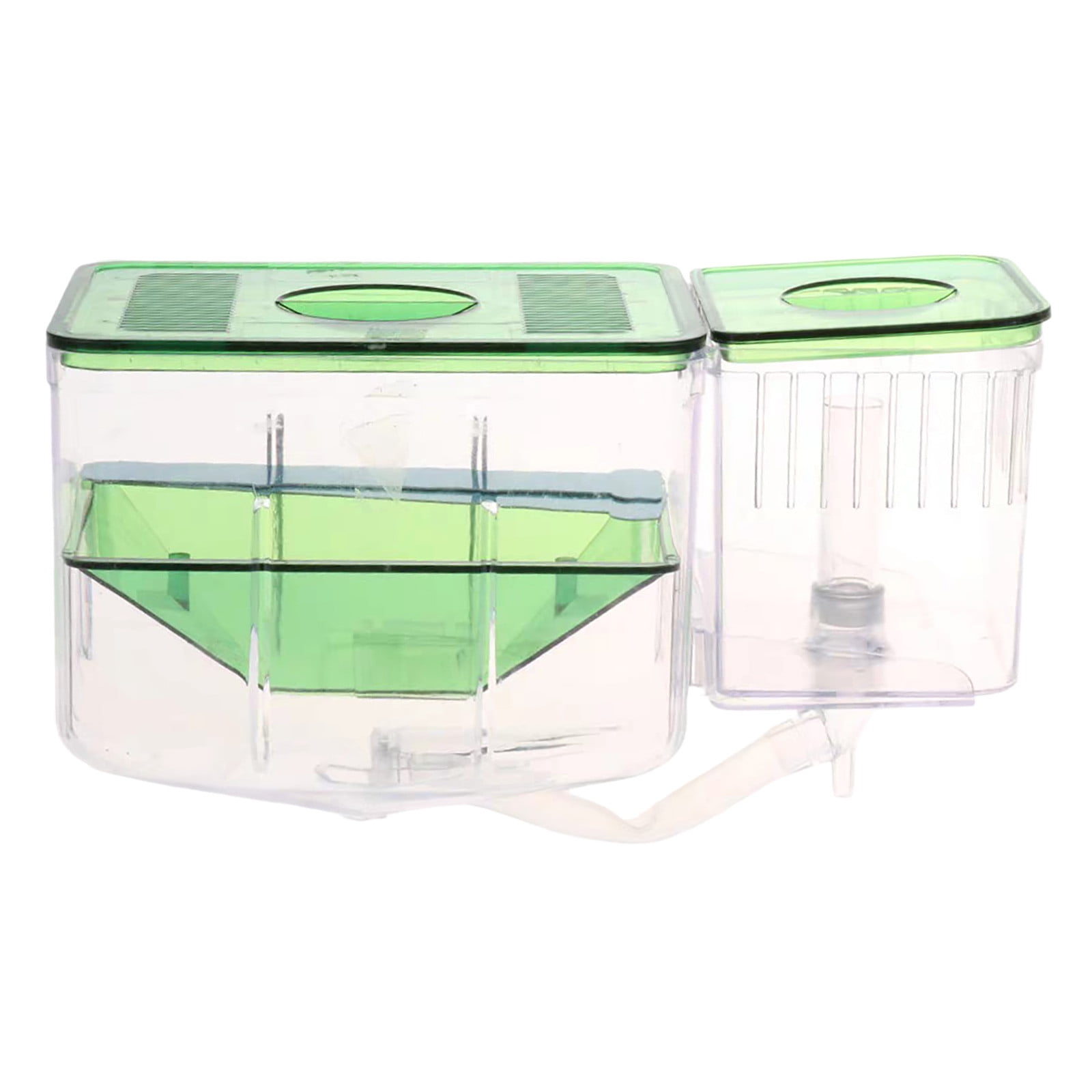 Aquarium Breeding Box - Transparent Fish Hatchery Tank with Divider ...