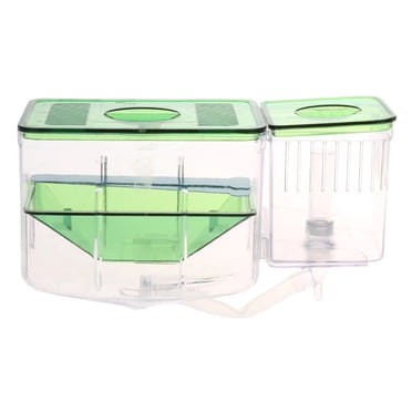 Aqua Culture 10 Gallon Transparent Glass Fish Tank, Freshwater and ...