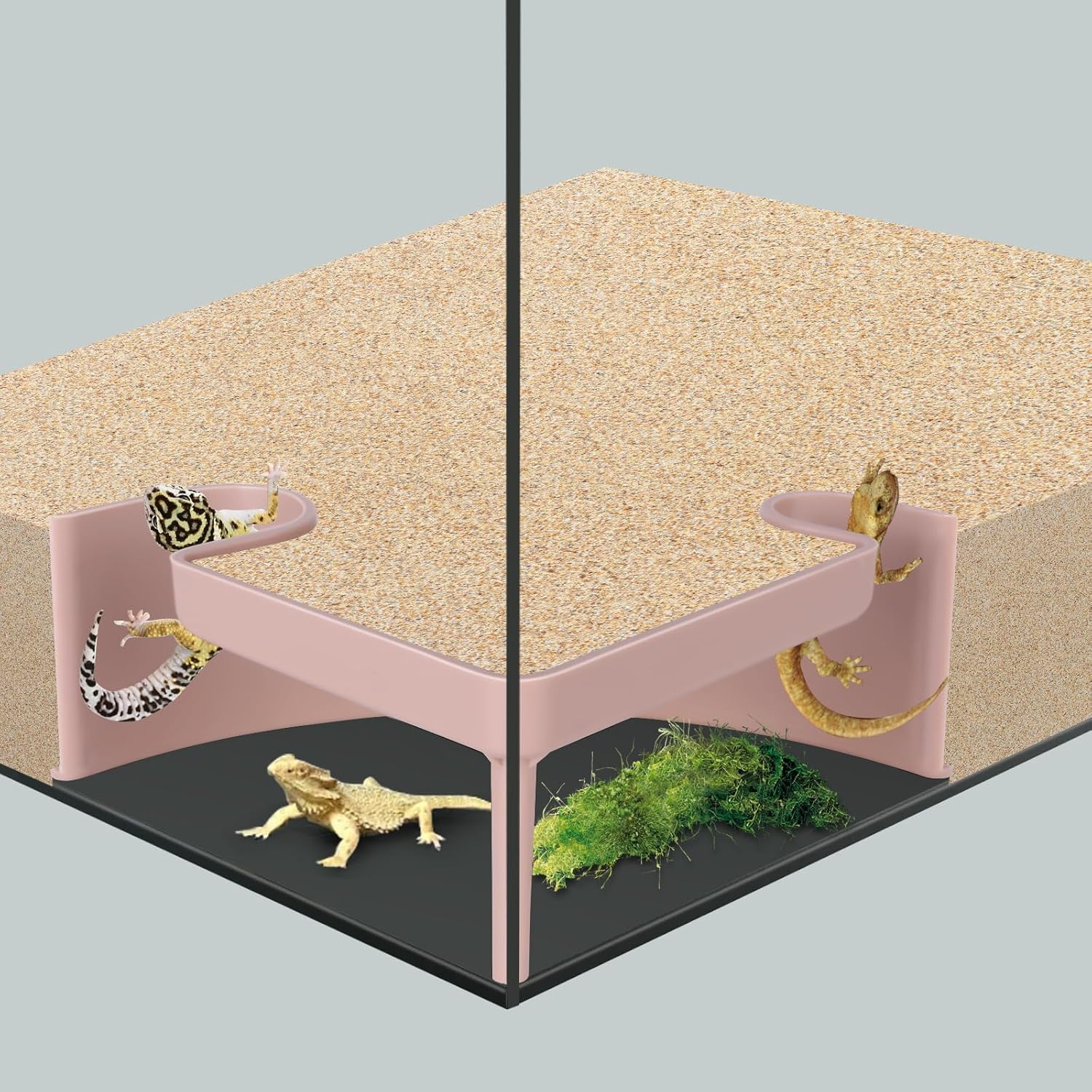 Aquarium Cave Hideout with Viewing Window - 2 Hole Corner Fish Tank ...