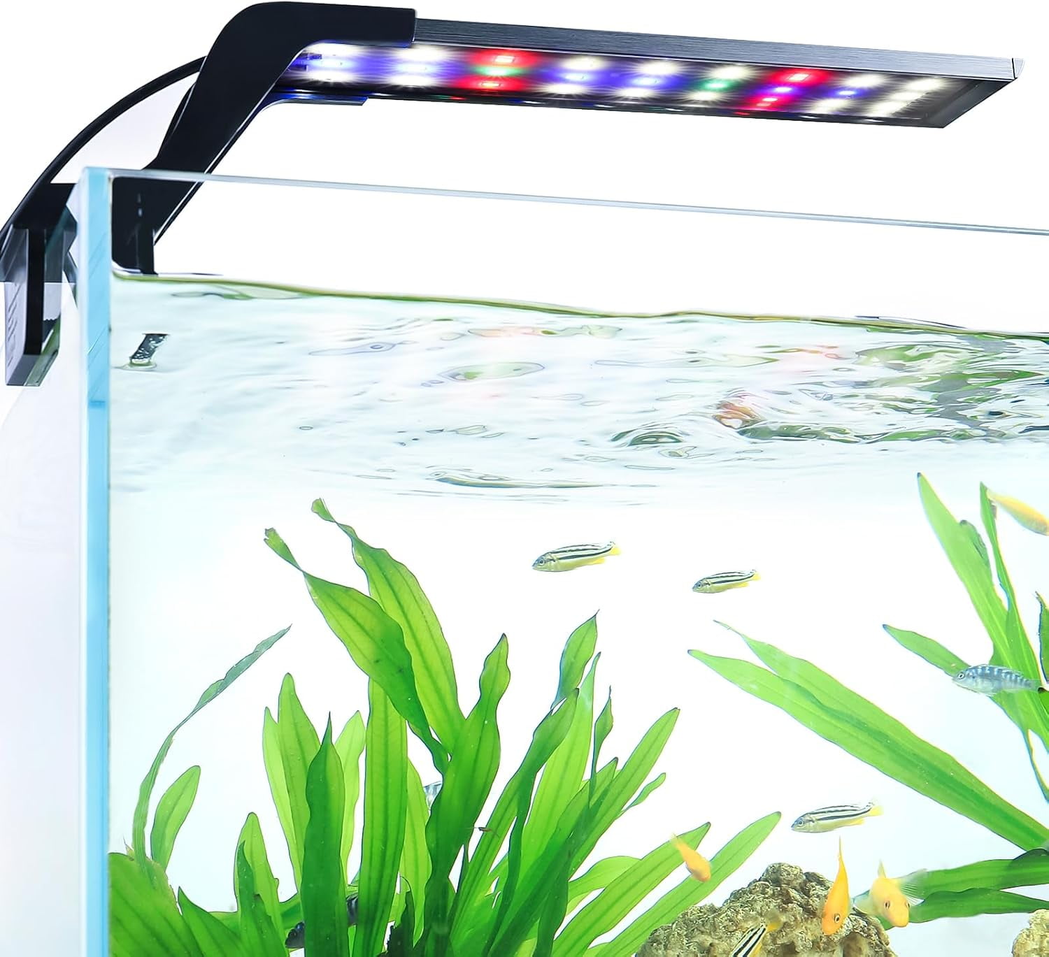 Aquarium Clip Light,Fish Tank Full Light,24/7 Sunrise Sunrise Mode+10 ...