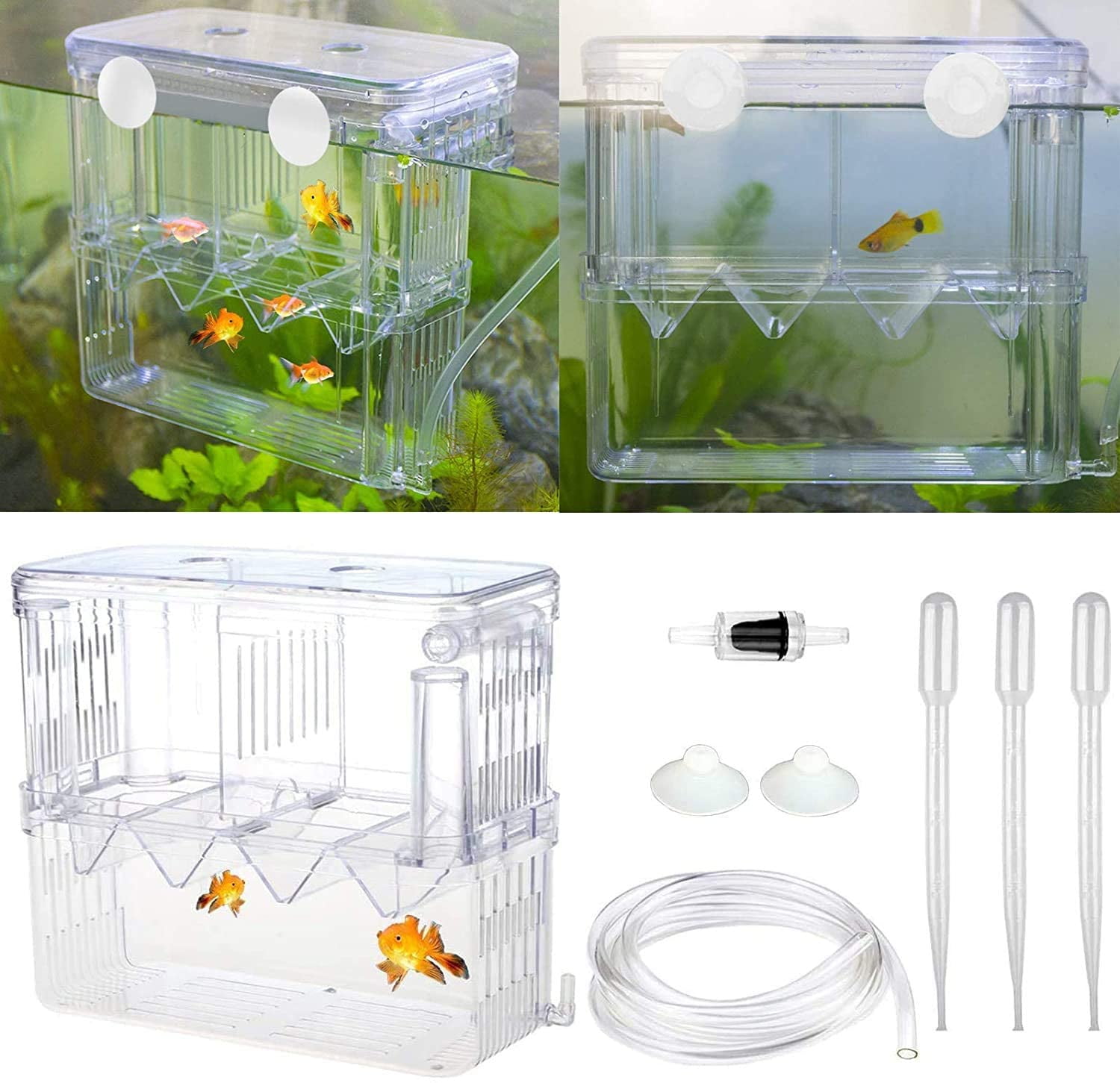 Aquarium Fish Breeder Box Plastic Fish Isolation Breeding Box Hatching ...