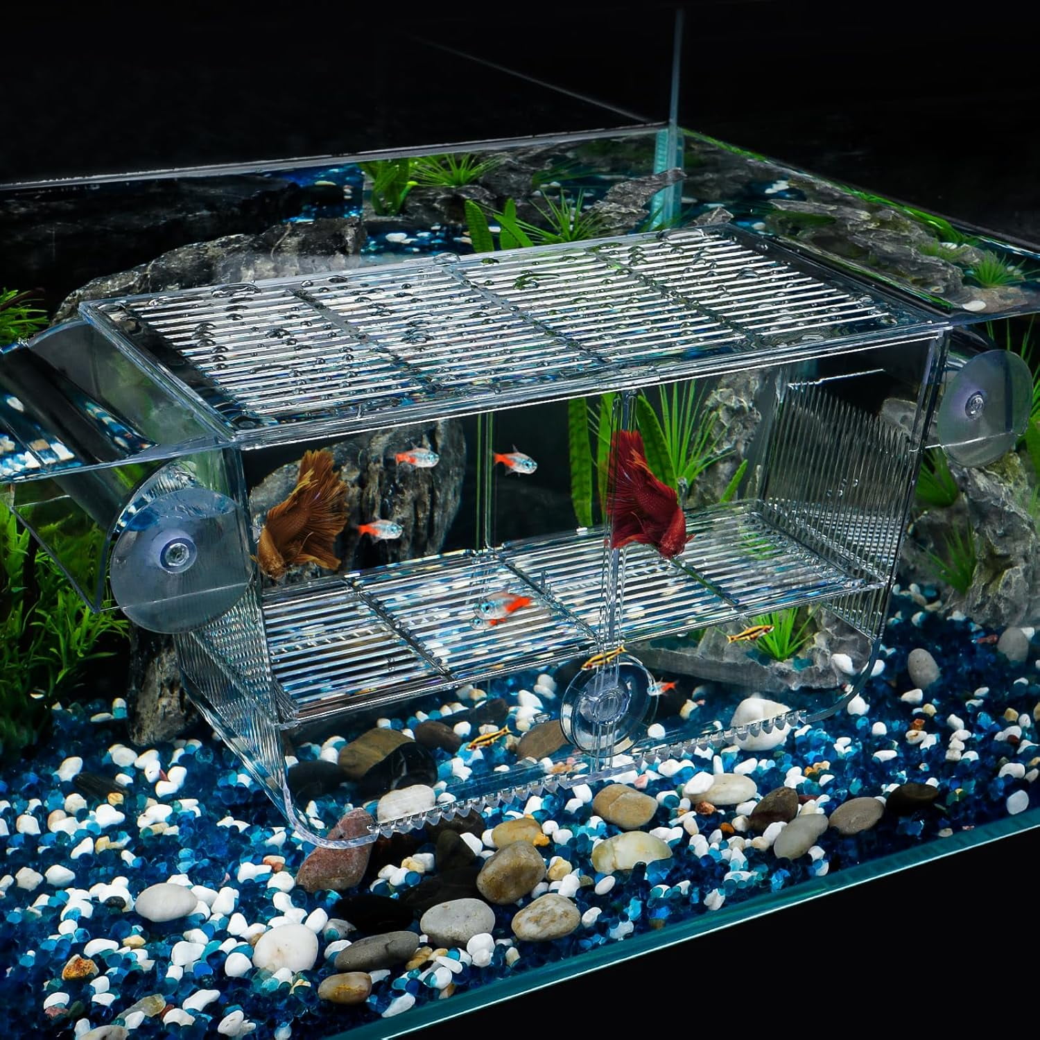 Aquarium Fish Breeding Box - Acrylic Hatching Box for Baby Fish, Shrimp ...