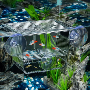 Aqua Culture 10 Gallon Transparent Glass Fish Tank, Freshwater and ...