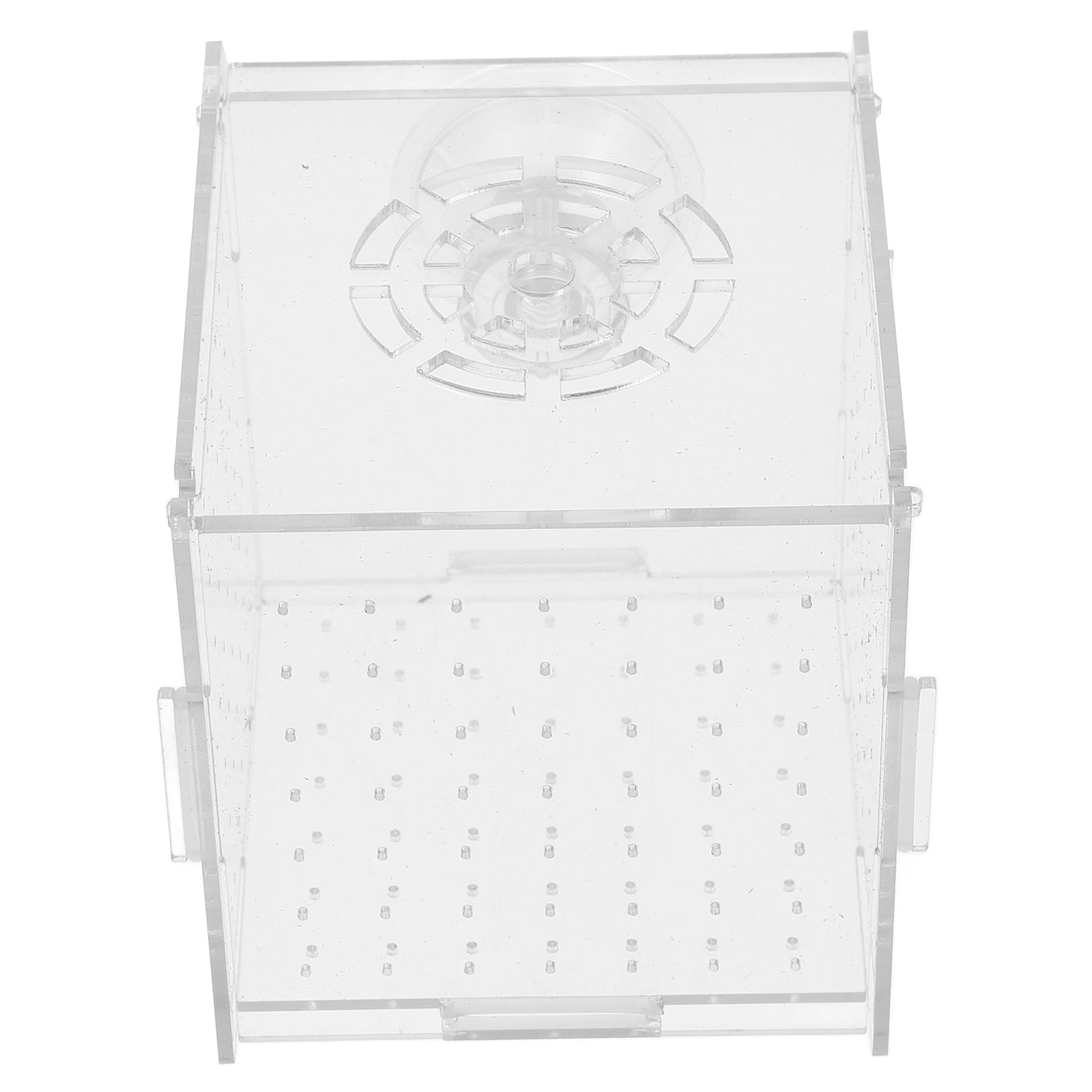 Aquarium Fish Breeding Box Fish Tank Hatchery Incubator With Suction ...