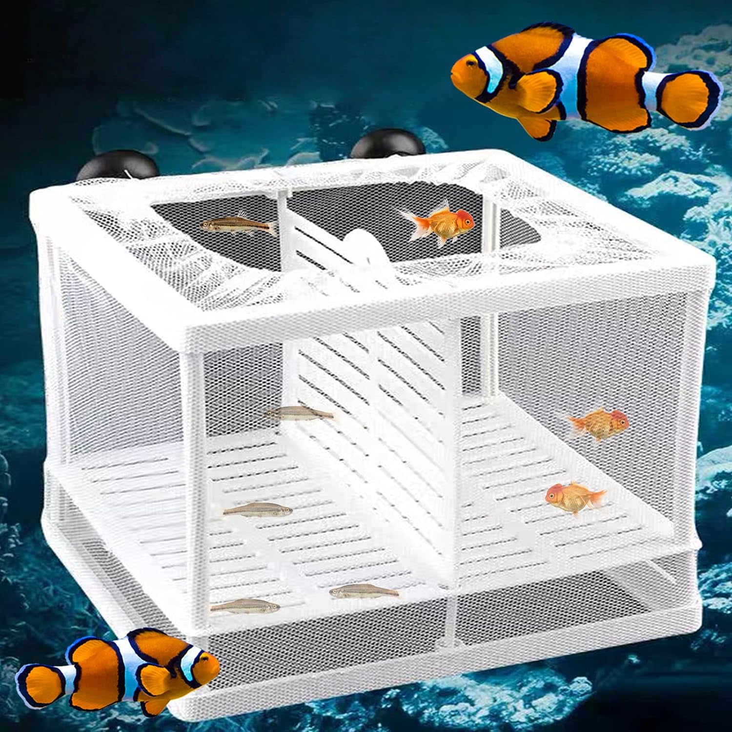 Aquarium Fish Breeding Box, Small Fry Hatchery Net Fish Nursery ...