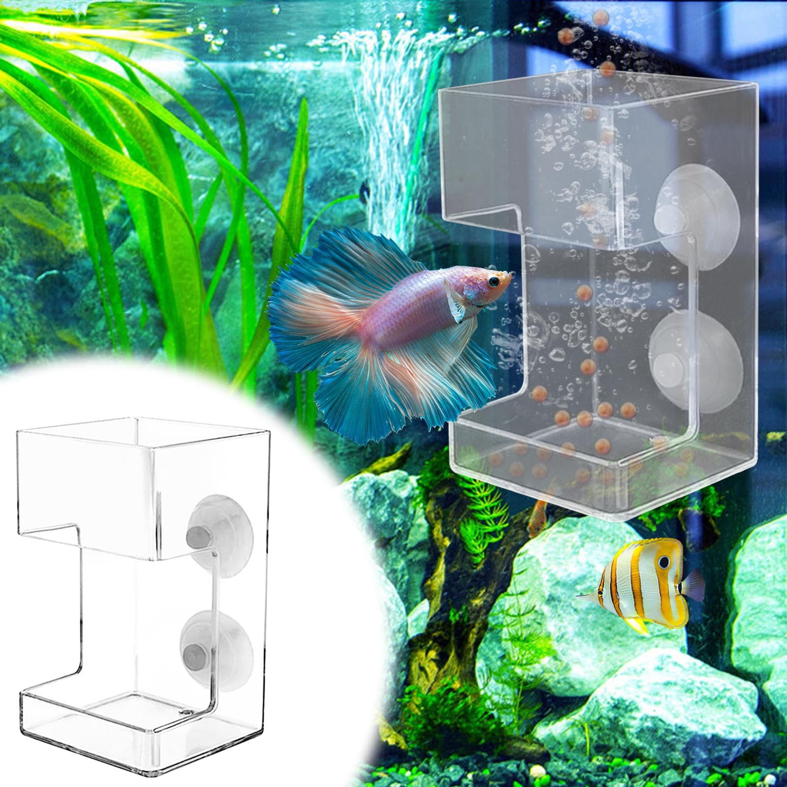 Aquarium Fish Feeding Ring | Floating Circular Feeder with Suction Cups ...