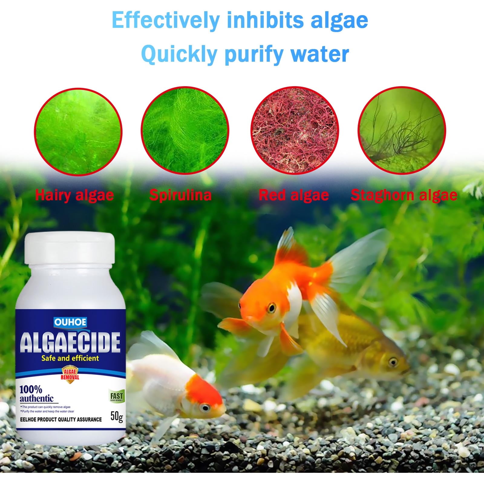 Aquarium, Fish Tank Algaecide, 50G Chlorella Control Detergent ...