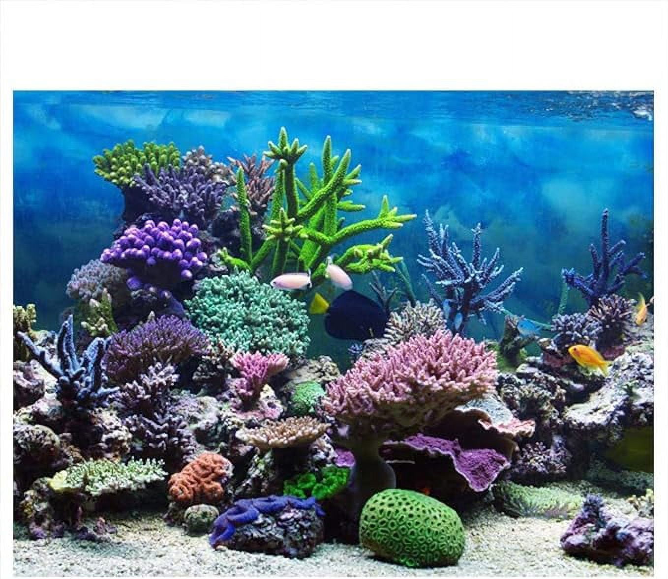 Aquarium Fish Tank Poster Underwater Marine Coral Background Poster ...