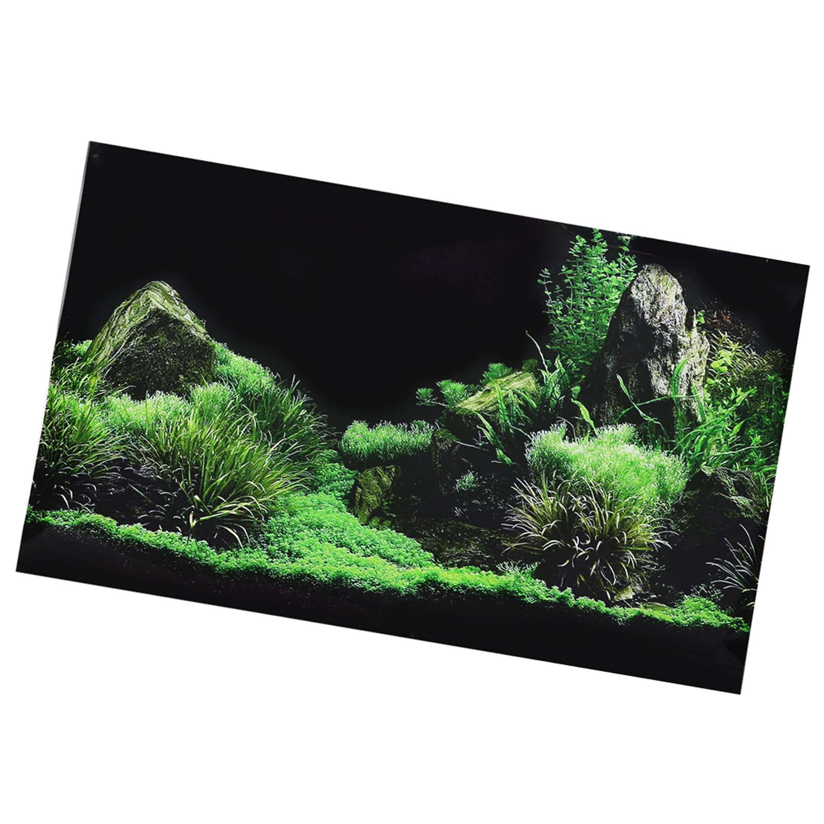 Aquarium Fish Tank Seafloor Water Grass Background Decoration Painting ...