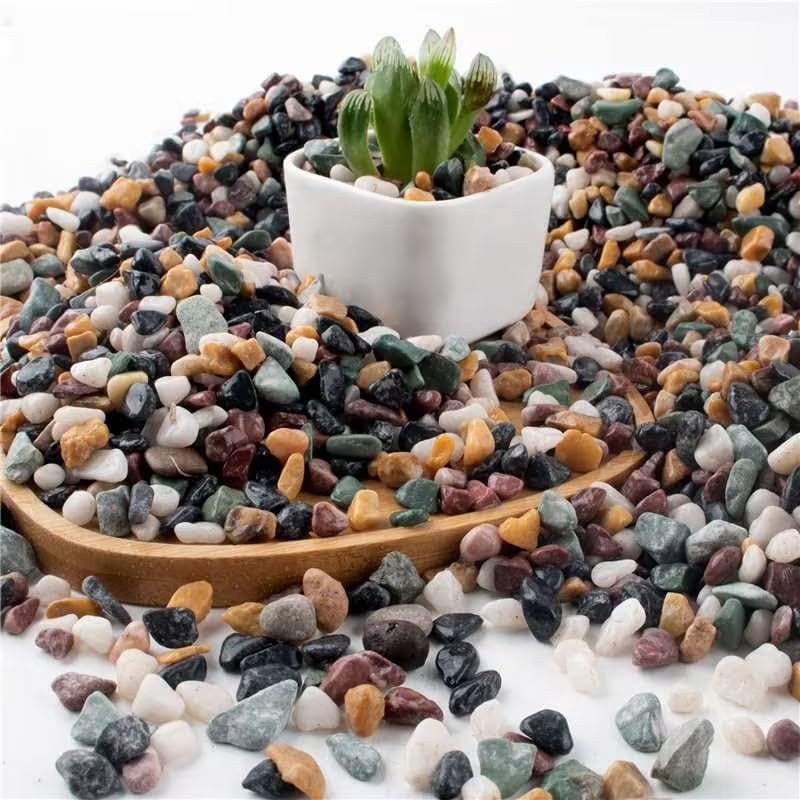 Aquarium Gravel for Plants -7lb Fish Tank Gravel for Succulent Cactus ...