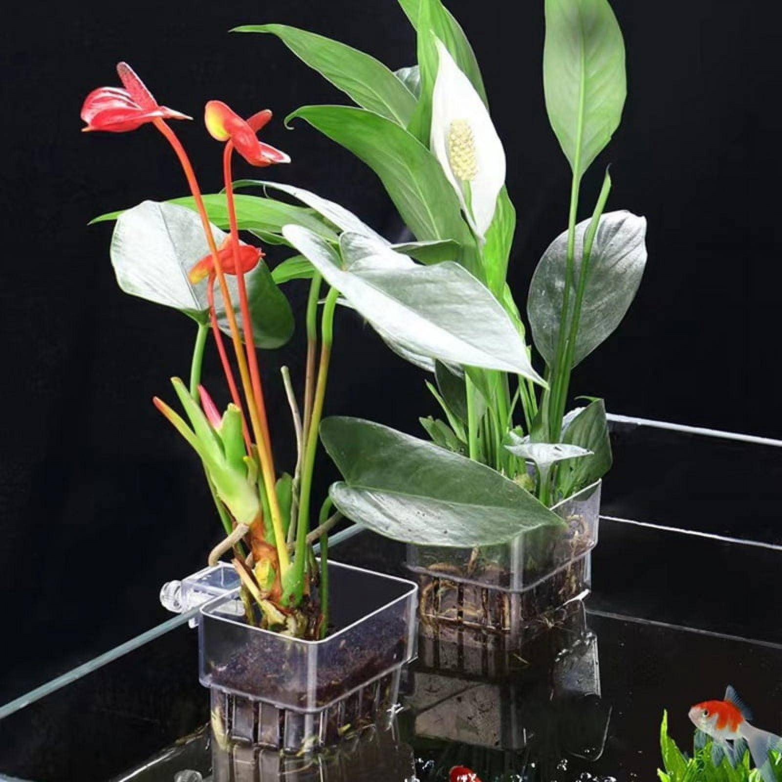 Aquarium Hydroponics Planting Cup Household Aquatic Plant Cup Acrylic ...