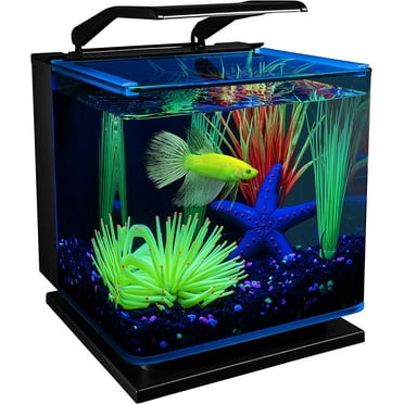 Penn-Plax Water-World Radius Desktop Aquarium Kit – 3.4 Gallon Glass ...