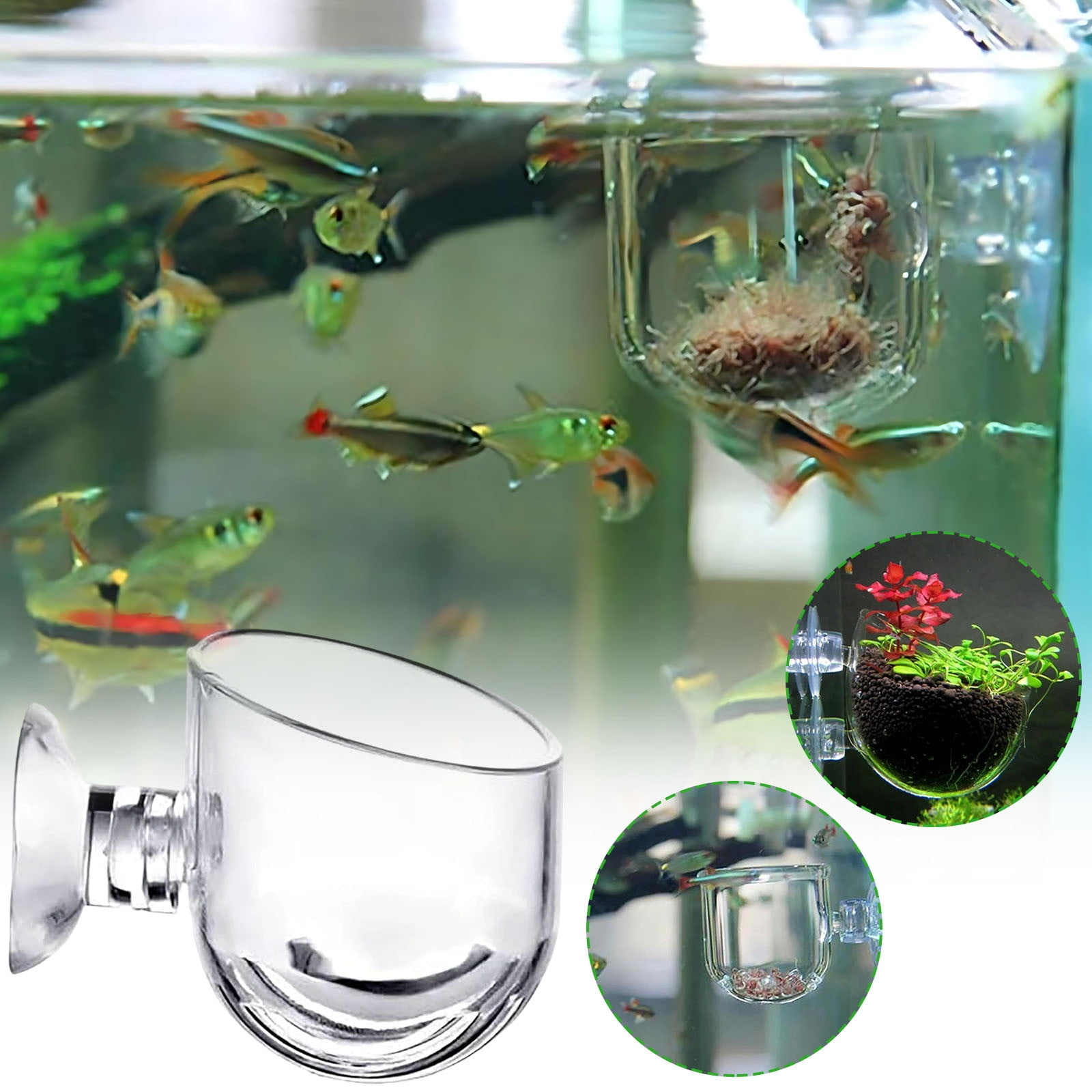 Aquarium Plant Holder, Aquatic Cup Pot, Clear Acrylic Suction Cup ...