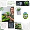 Aquarium Plant Potting Basket, Wall Mounted Transparent Plastic Cup ...
