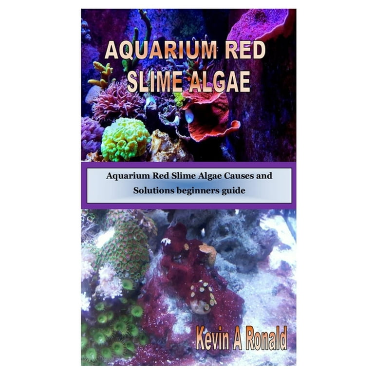 Red Algae Aquarium