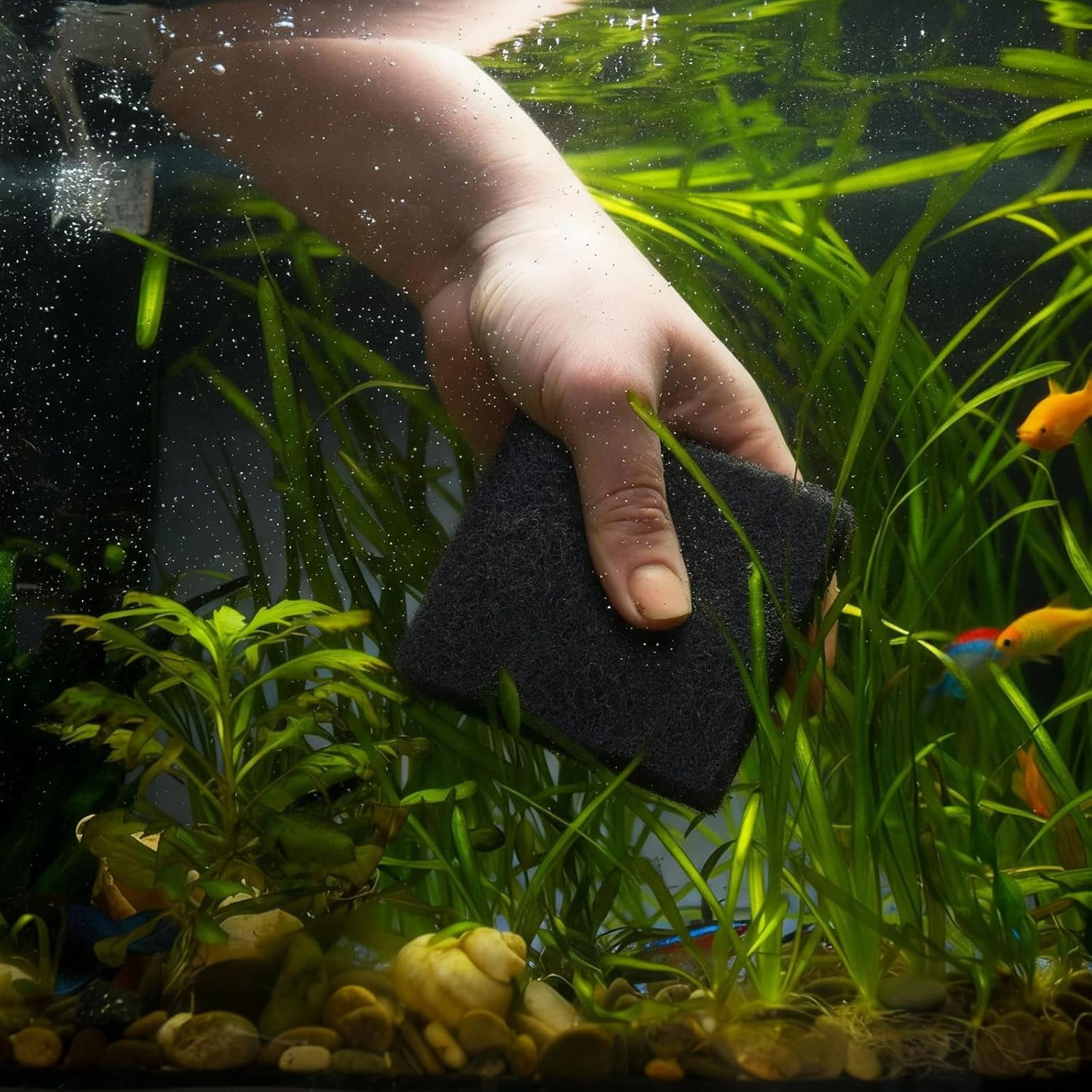 Aquarium Scrubber Supplies Hand Held Scrubber Pad Fish Tank Glass ...
