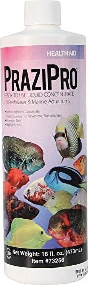 Aquarium Solutions PraziPro Parasite Treatment-16Oz - Walmart.com