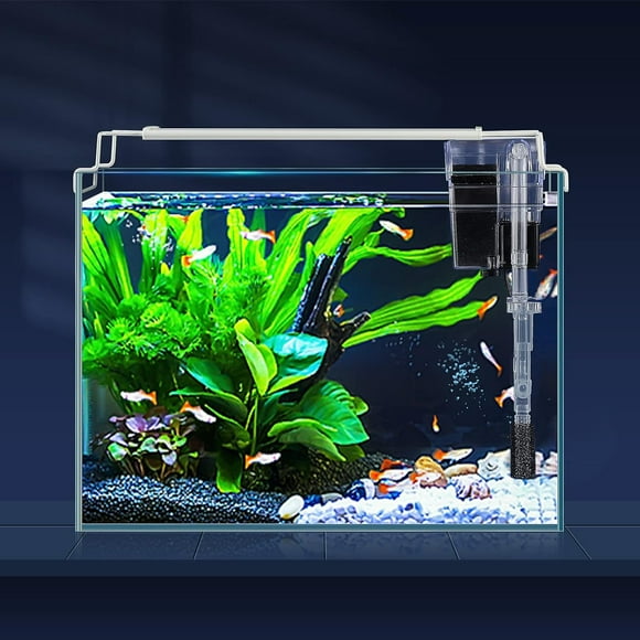 3 Gallon Fish Tank