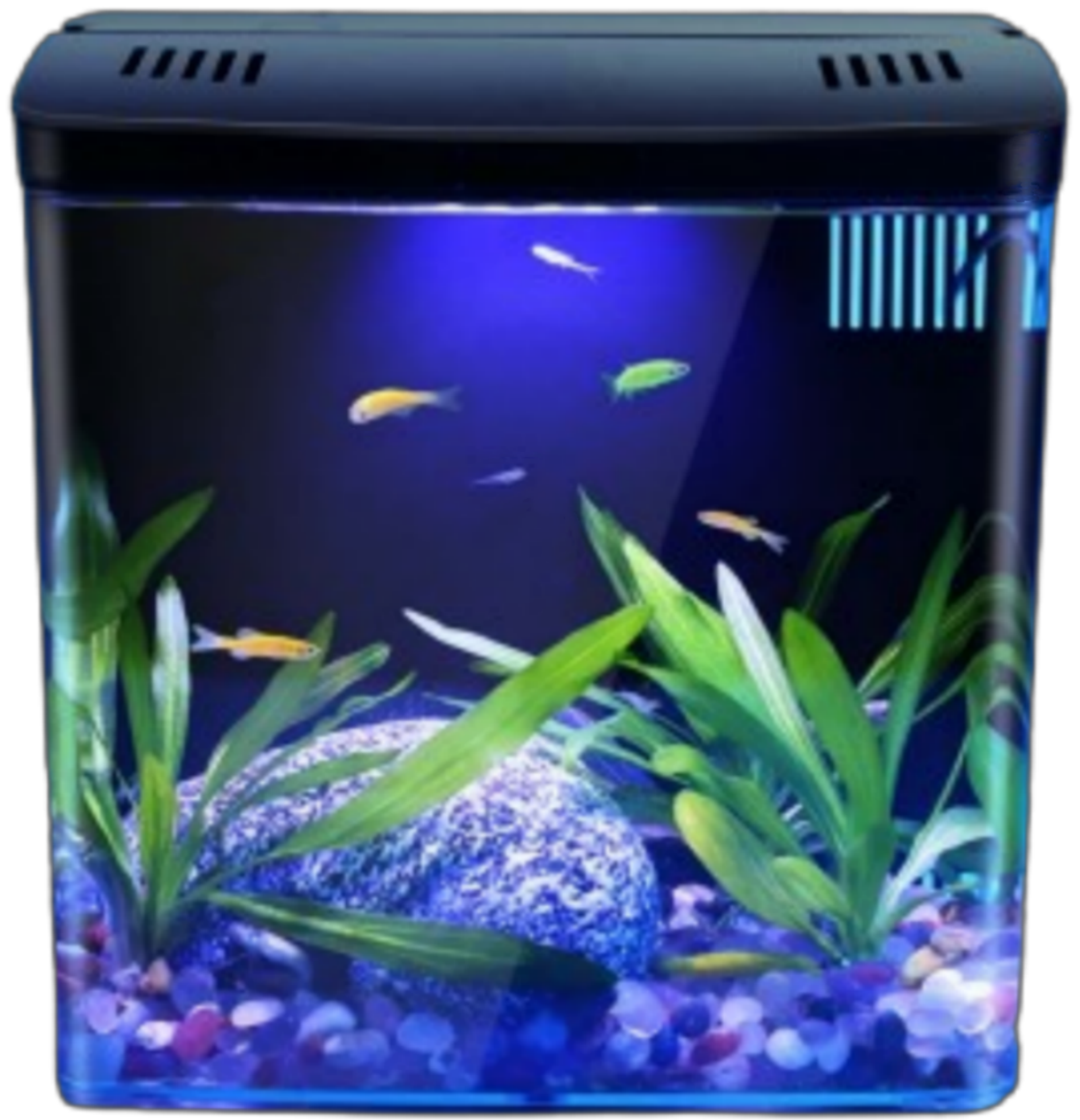Carefree Fish Starter Fish Tank Kit Aquarium Slim Clear Acrylic 1.2 ...